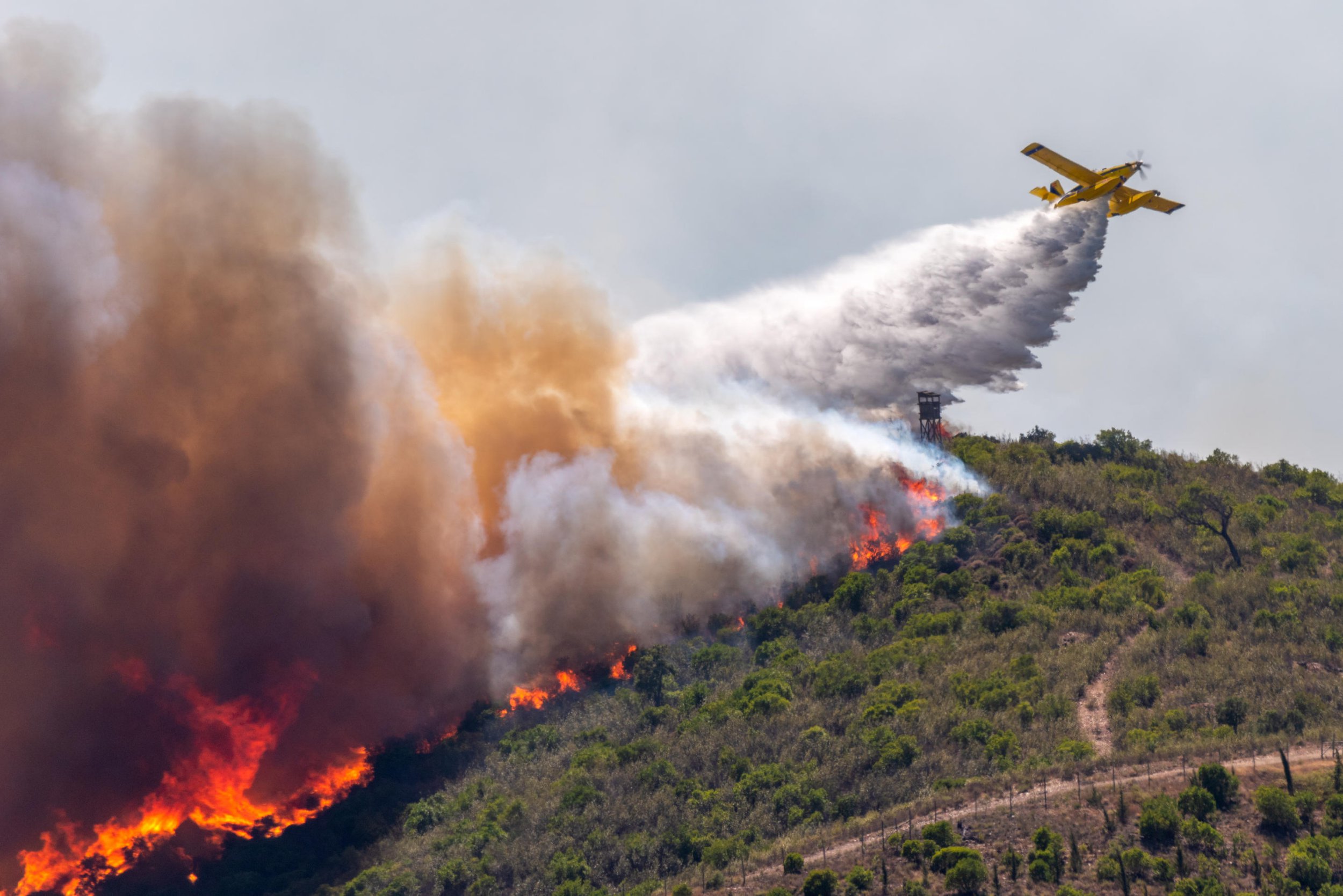 Photos show devastation from wildfires in Portugal | Metro News