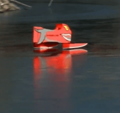 City rounds up nuisance wild geese and gives them to struggling ...