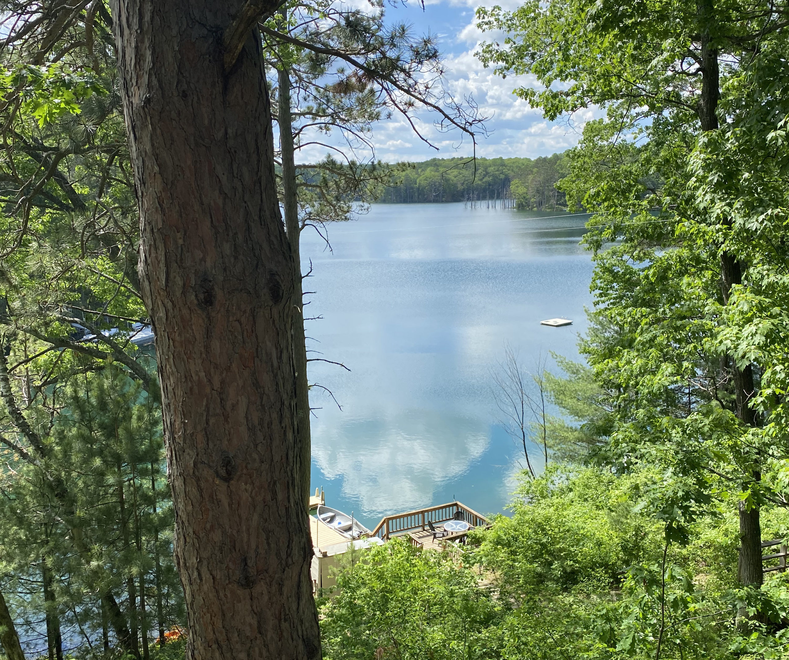 The Discomfort of Resting - Michelle Klinger