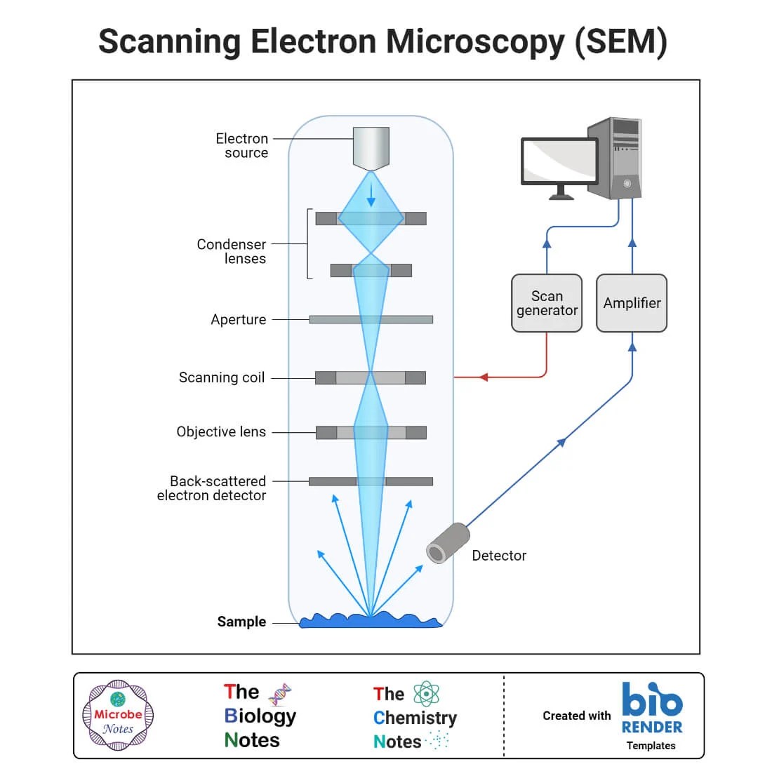 Schematic Diagram Of Electron Microscope - Circuit Diagram