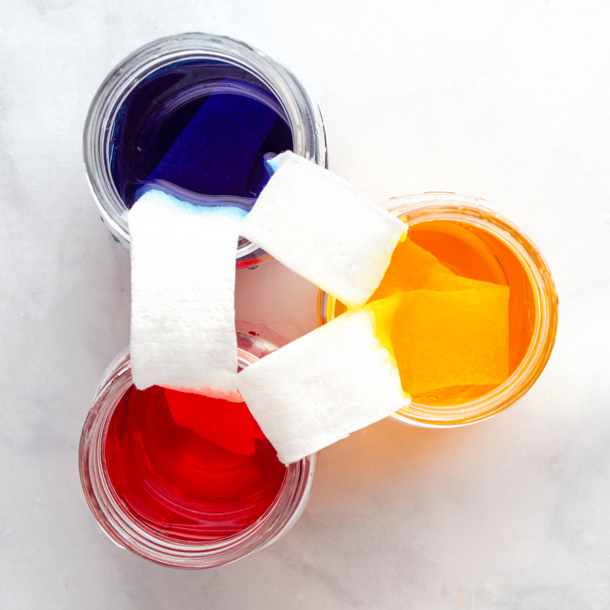 Walking Water Experiment & Lesson Plan