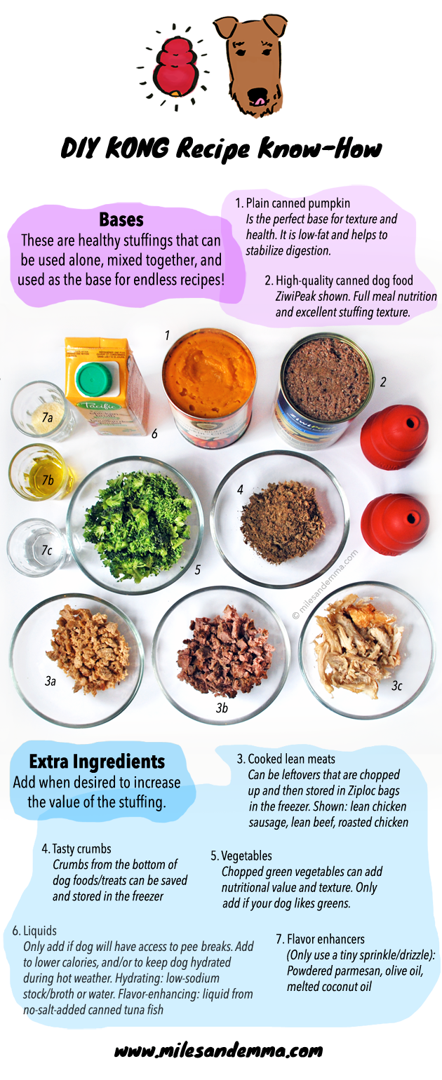 How To Make The Perfect Kong Recipes For Your Dog Miles Emma how-to-make-the-perfect-kong-recipes-for-your-dog-miles-emma