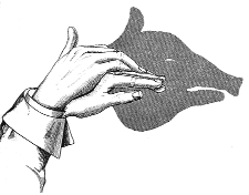 A arte de fazer sombras com as mãos