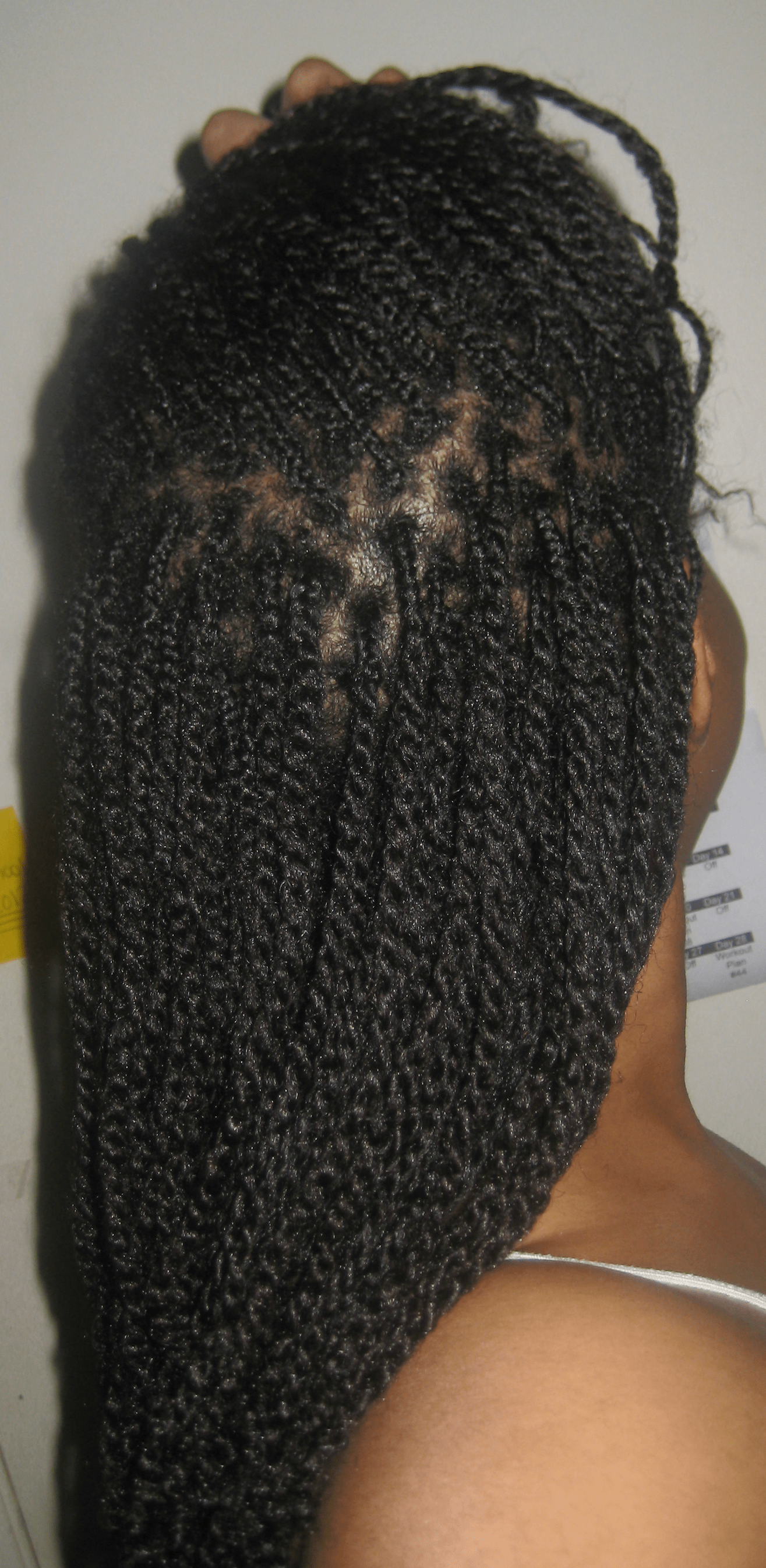 My Spring Mini Twists- Update Week 1 | The Mini Braid Method