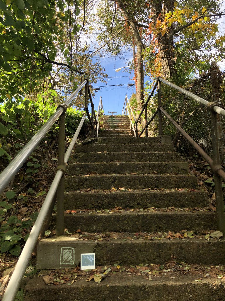 Trip #658 Coast Avenue, Beechview - Mis.Steps