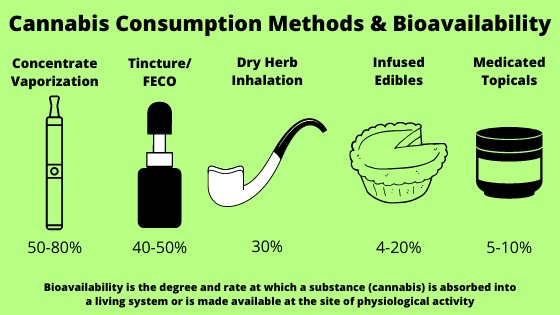 Cannabis Consumption Methods and Bioavailability — Greenway Magazine