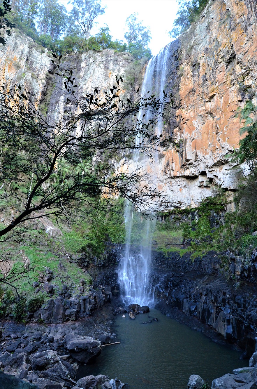Park Narodowy Springbrook | Moja Australia i świat