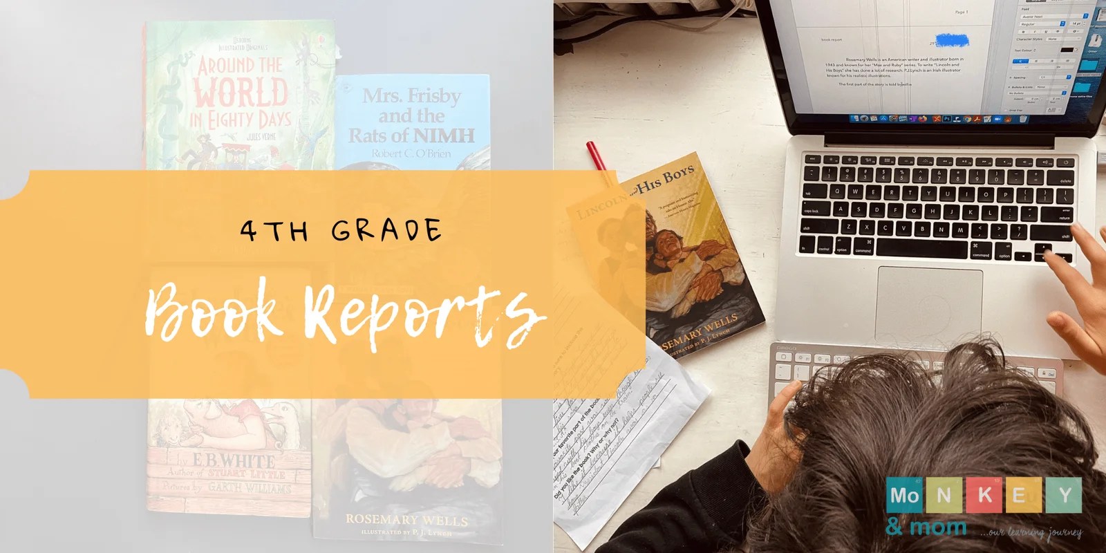 How we do book reports- 4th grade literature