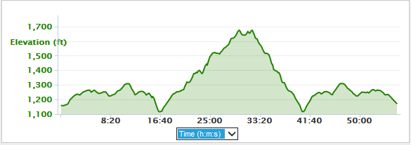 Currahee Mountain Run - Move and Be Well