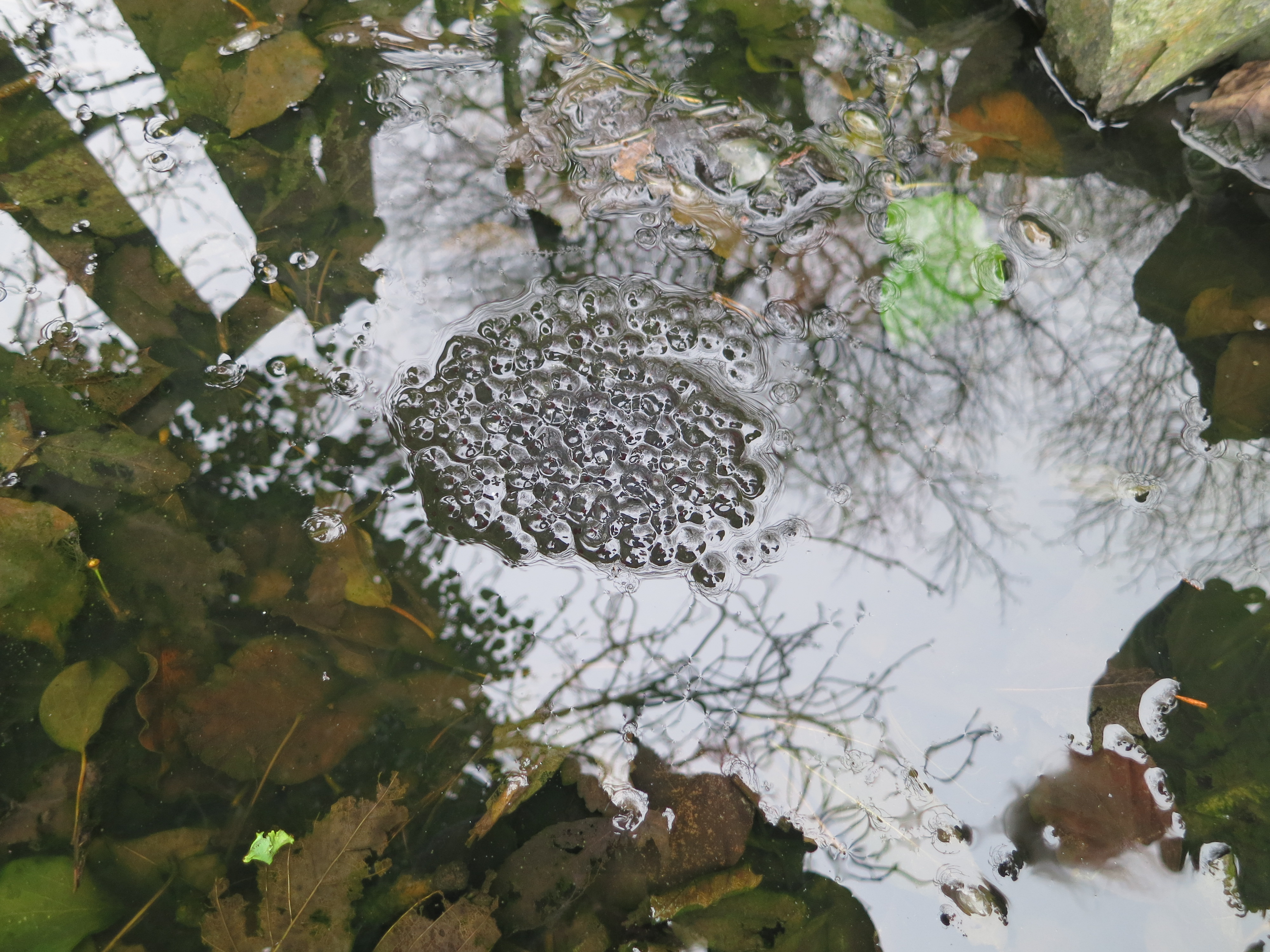 Three Wise Monkeys | mybeautfulthings