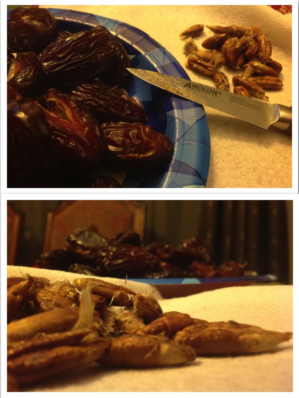 Coconut Date Bites - My Kitchen Is Open