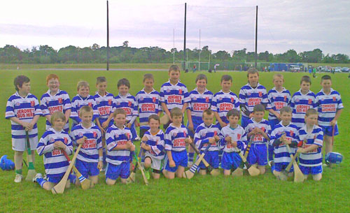 O’Mahony’s narrowly lose Under 11 Final | Navan O'Mahonys GAA Hurling ...