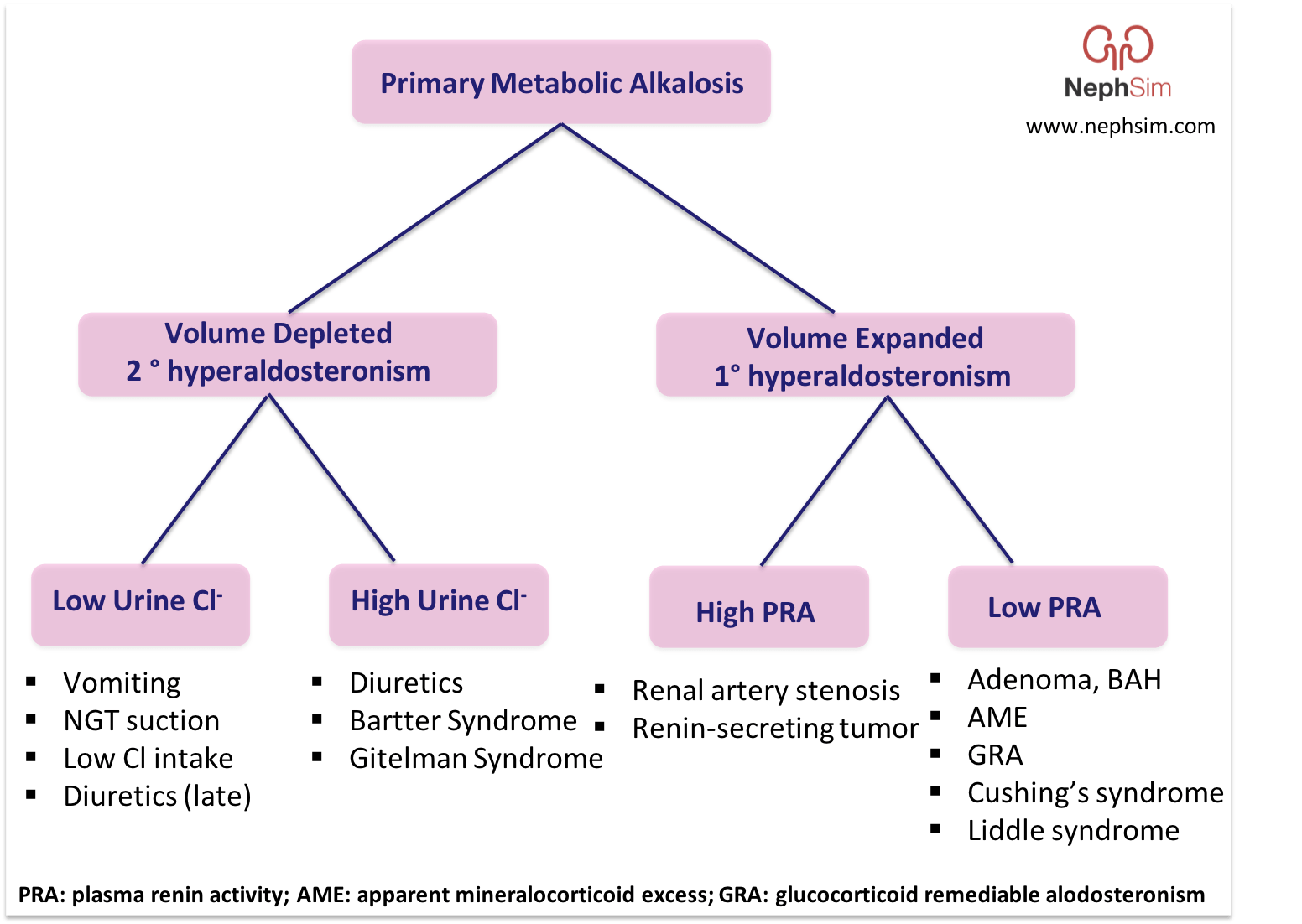 Image Gallery – NephSIM
