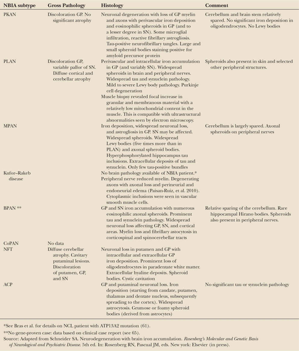 Neurodegeneration with Brain Iron Accumulation | Neupsy Key