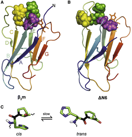 Protein Misfolding and Aggregation | Neupsy Key