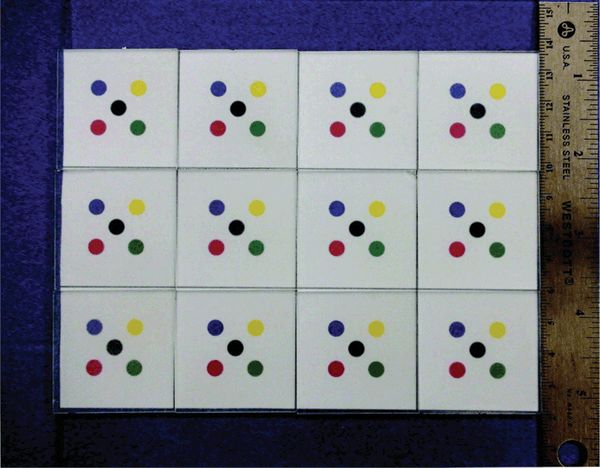 The Exteroceptive Sensations | Neupsy Key