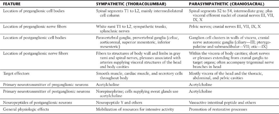 Visceral Motor Pathways | Neupsy Key
