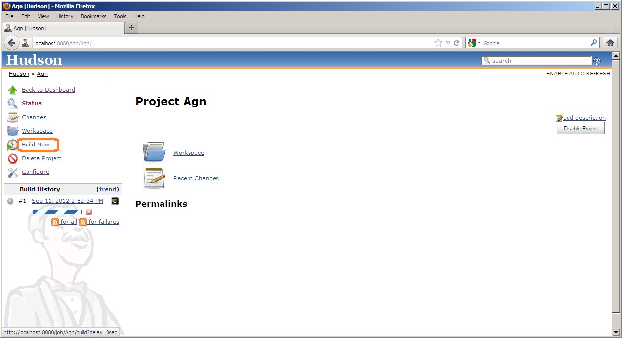 Hudson project build – NgDeveloper