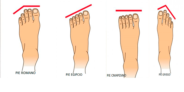 Los caracteres de los humanos según las lecturas del pie « Noticias cde