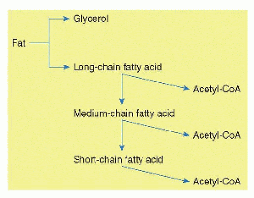Metabolic Disorders | Nurse Key