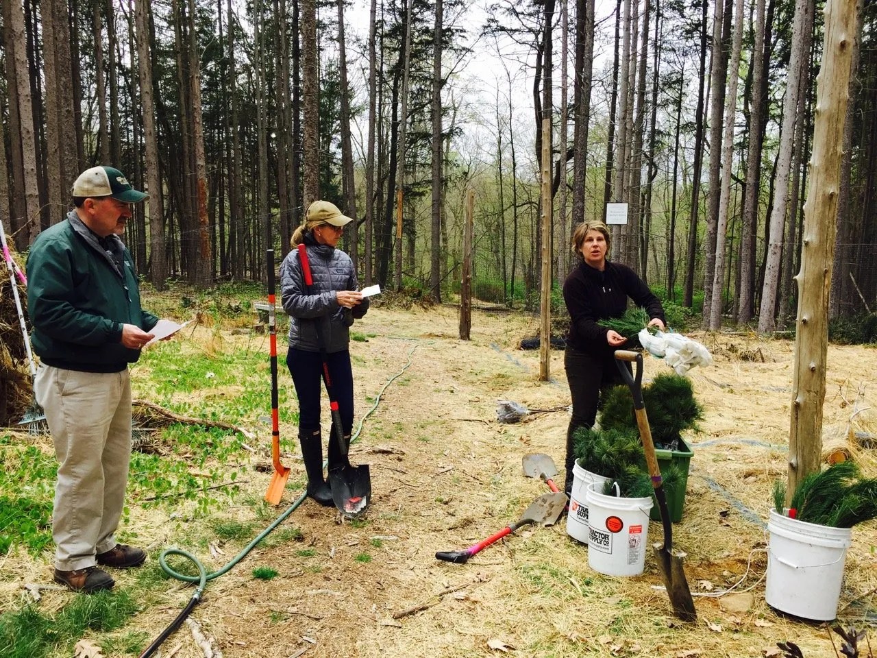 Pound Ridge Ny Festival at Stephanie Lori blog