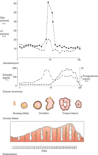 The Physiology of Puberty | Obgyn Key