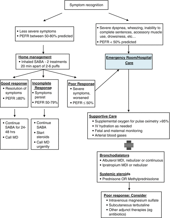 Pulmonary Disorders in Pregnancy | Obgyn Key