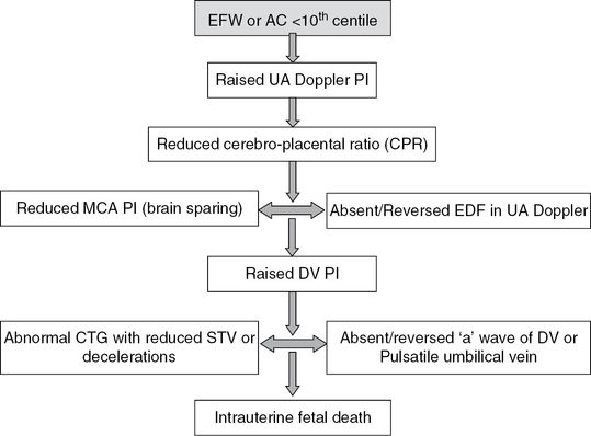 Fetal growth disorders | Obgyn Key