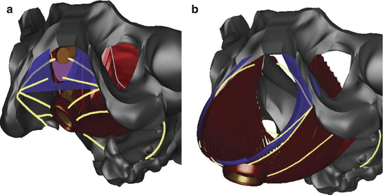 A Computerized Model of Pelvic Floor Muscles Physiology During Delivery ...