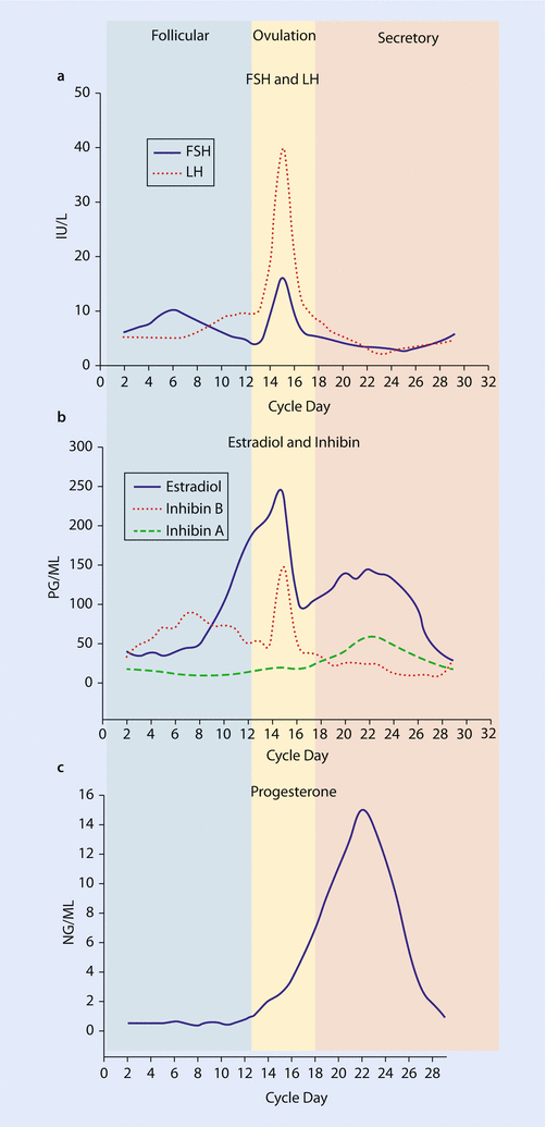 Hypothalamic–Pituitary–Ovarian Axis and Control of the Menstrual Cycle ...