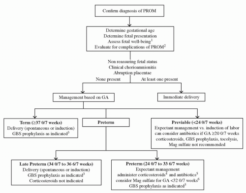 Prelabor Rupture of Membranes | Obgyn Key