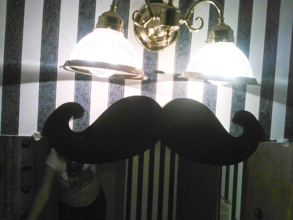 Mustache-themed bathroom with a bonus 'stache frame how-to • Offbeat ...