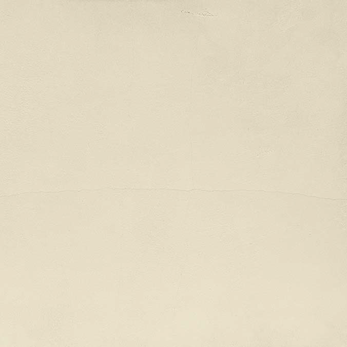 Plaster Texture - Omega Products International