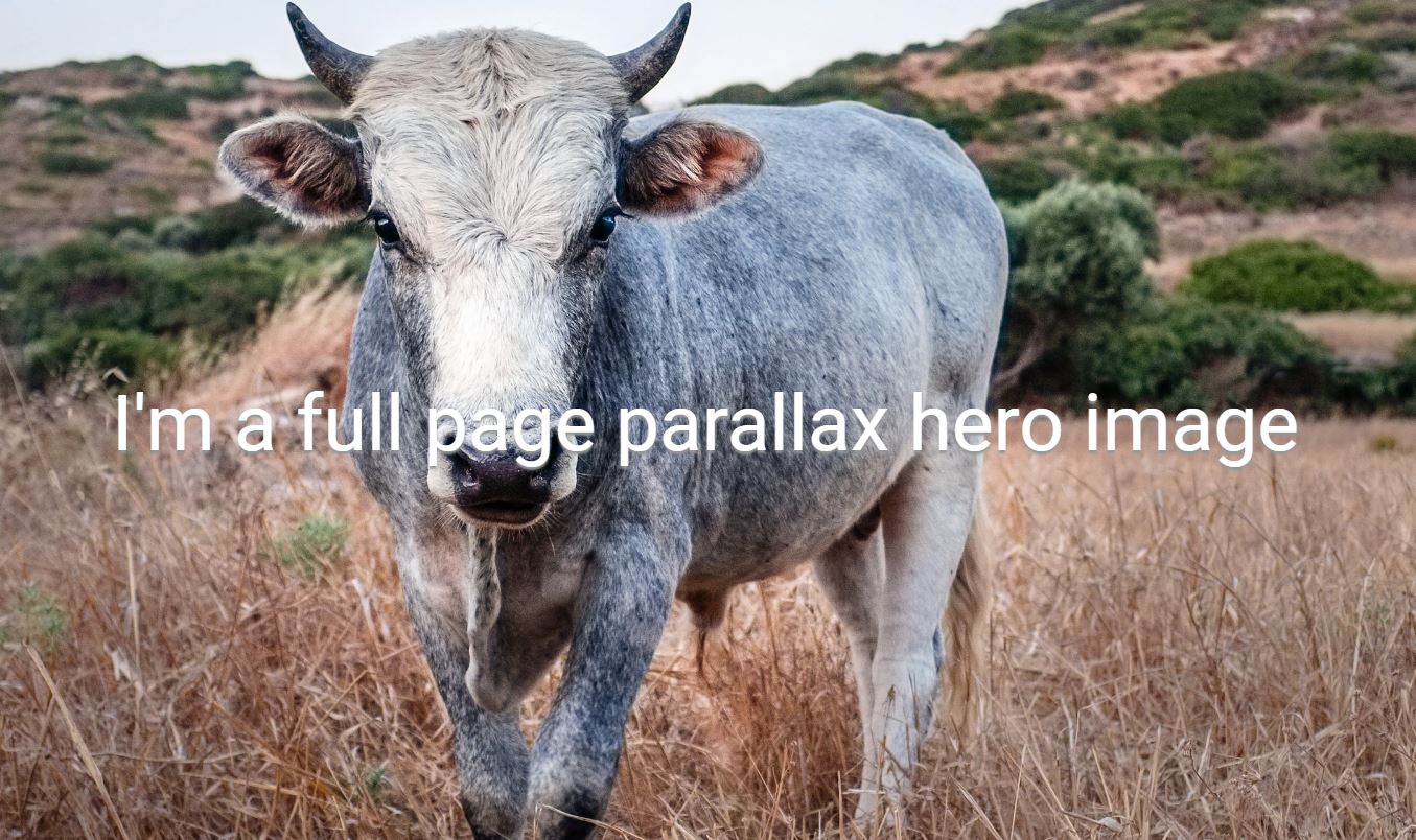 18+ Bootstrap Hero Image Examples - OnAirCode