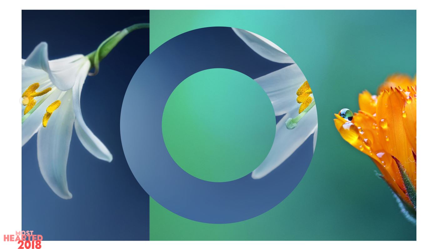 25+ JavaScript Slider Code Examples - OnAirCode