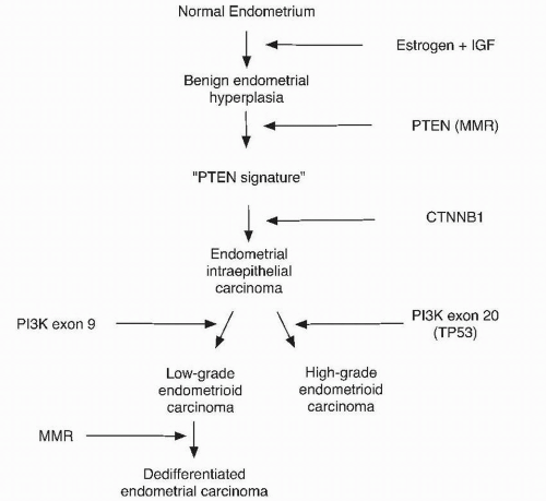 Molecular Pathogenesis of Endometrial Carcinoma | Oncohema Key