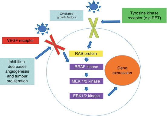 Targeted Therapies in Thyroid Cancer | Oncohema Key