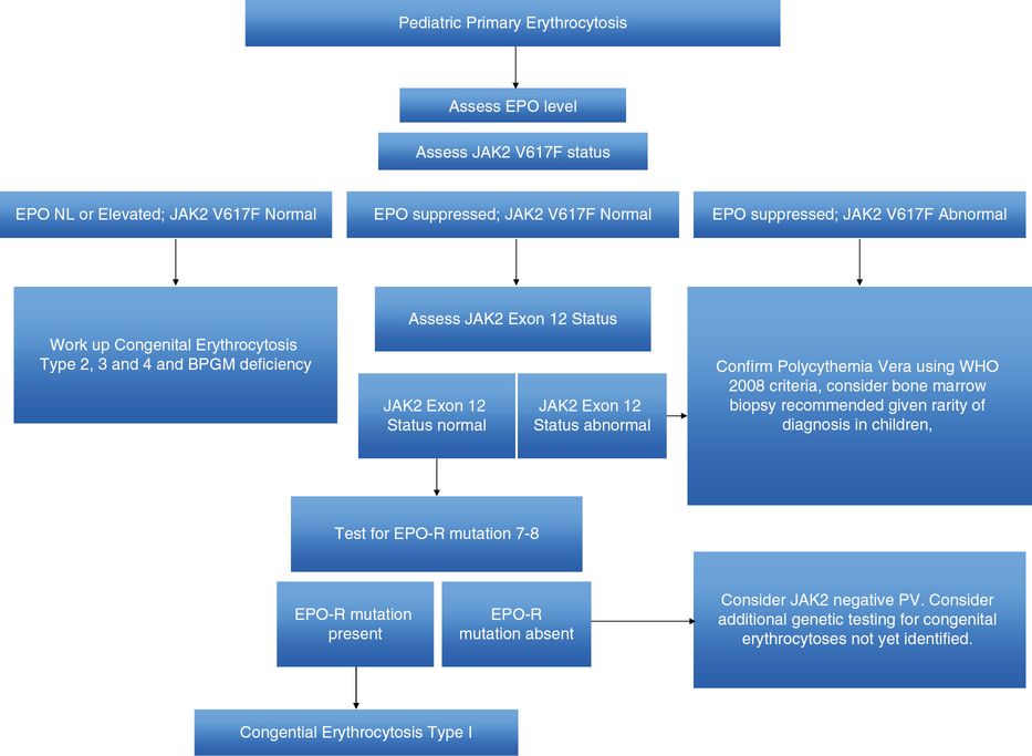 Women and children with myeloproliferative neoplasms – special ...