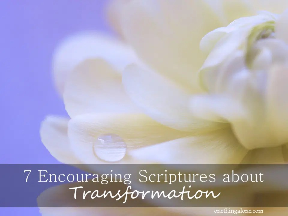 7 Encouraging Scriptures About Transformation | One Thing Alone