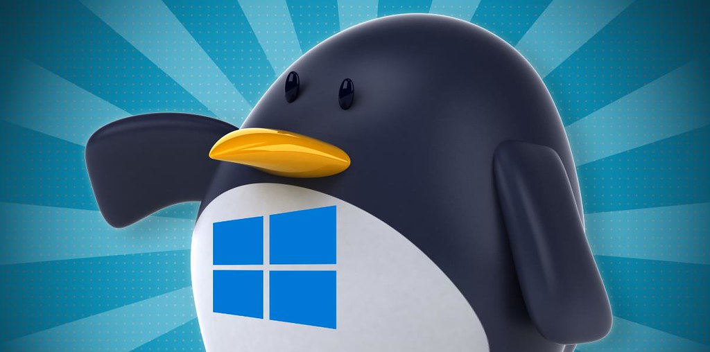 WINDOWS 11: GRAZIE MICROSOFT! — OPENLINUX.IT
