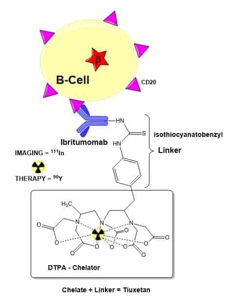 Radiometals for diagnostic imaging and theranostics - Open Medscience
