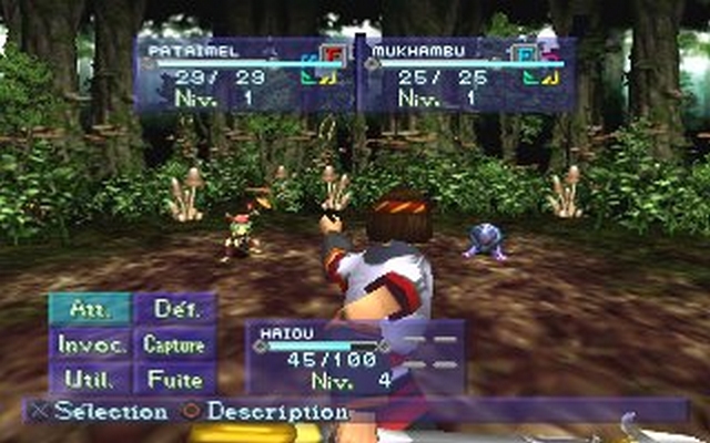 Buried Treasure: Jade Cocoon (PlayStation) - oprainfall