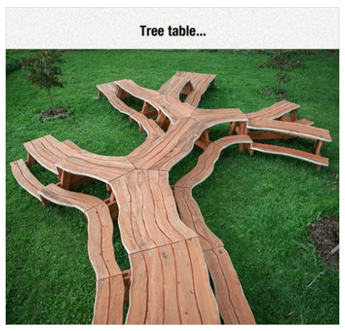 Community Tree Shaped Picnic Table – Oratia