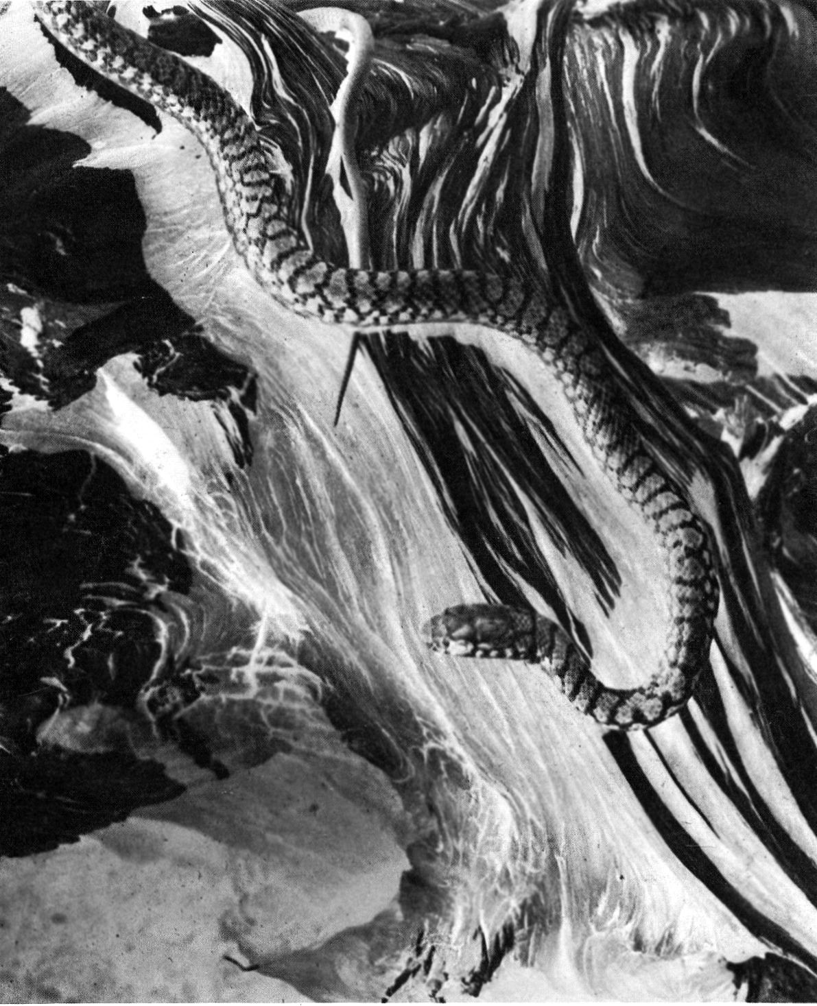 Galería: Imogen Cunningham | Oscar en Fotos