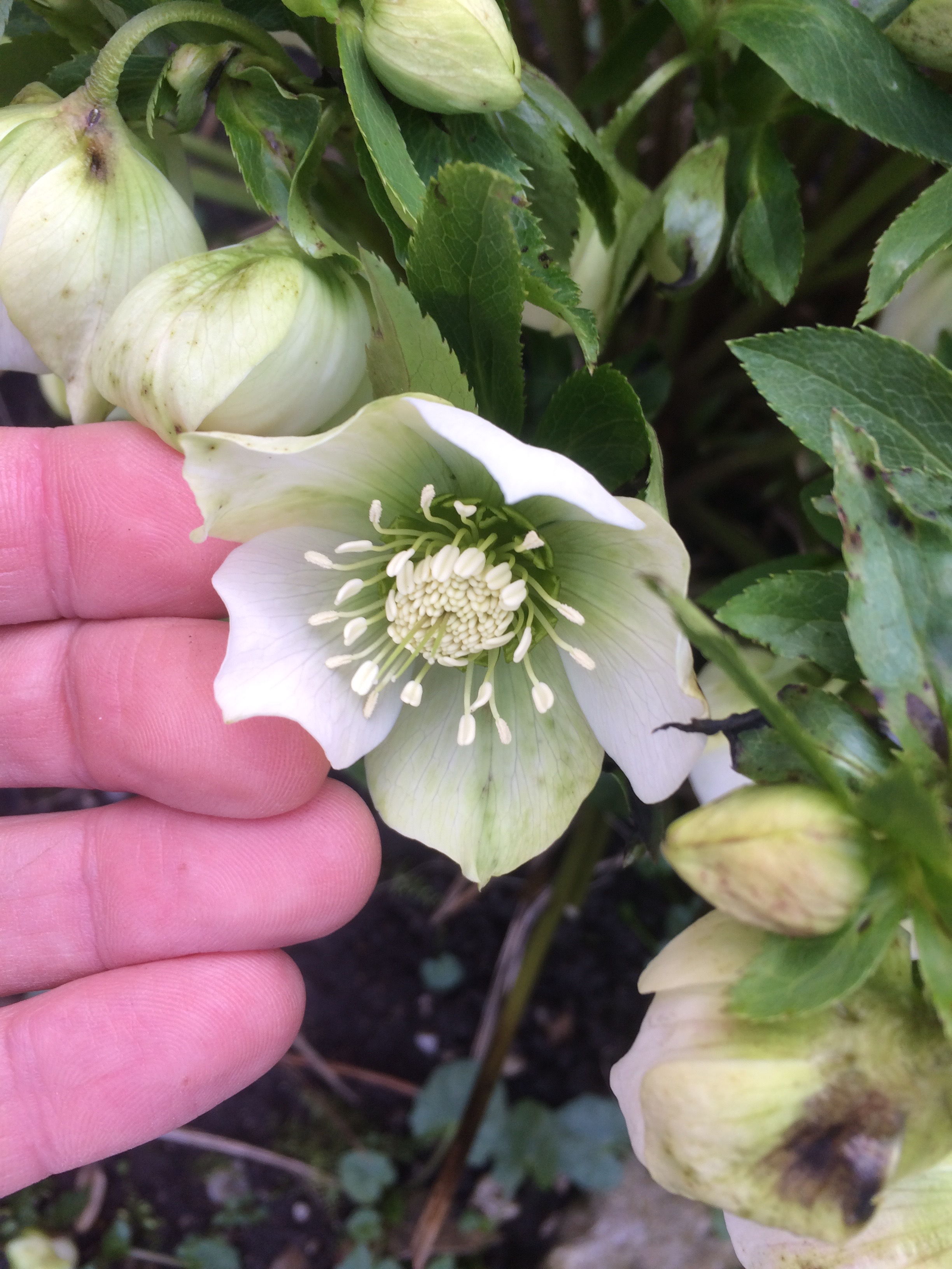 …Two Feet Apart | PARWICH.ORG