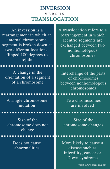Difference Between Inversion and Translocation | Definition, Types ...