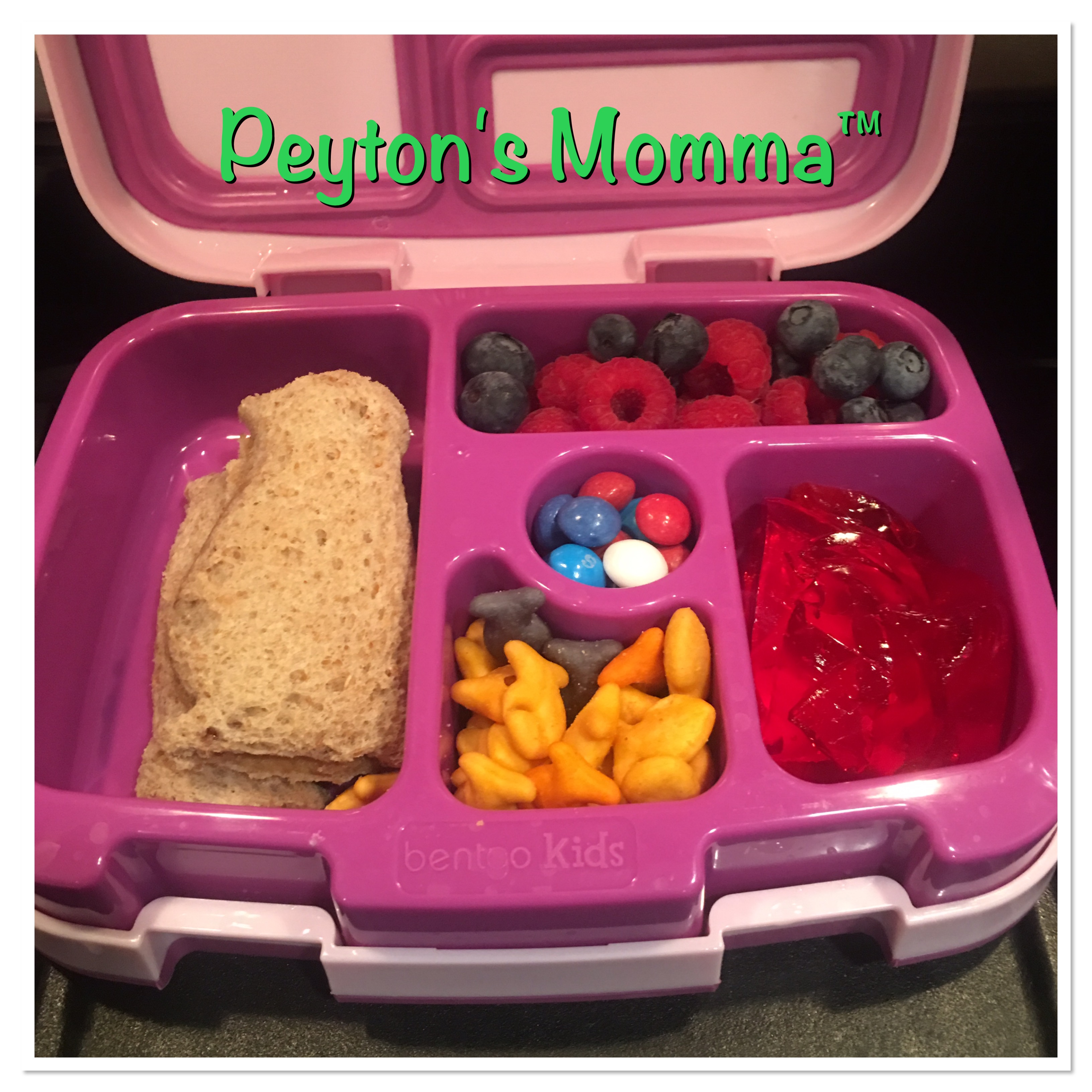 Penguin Sandwich Bento Box - Peyton's Momma™