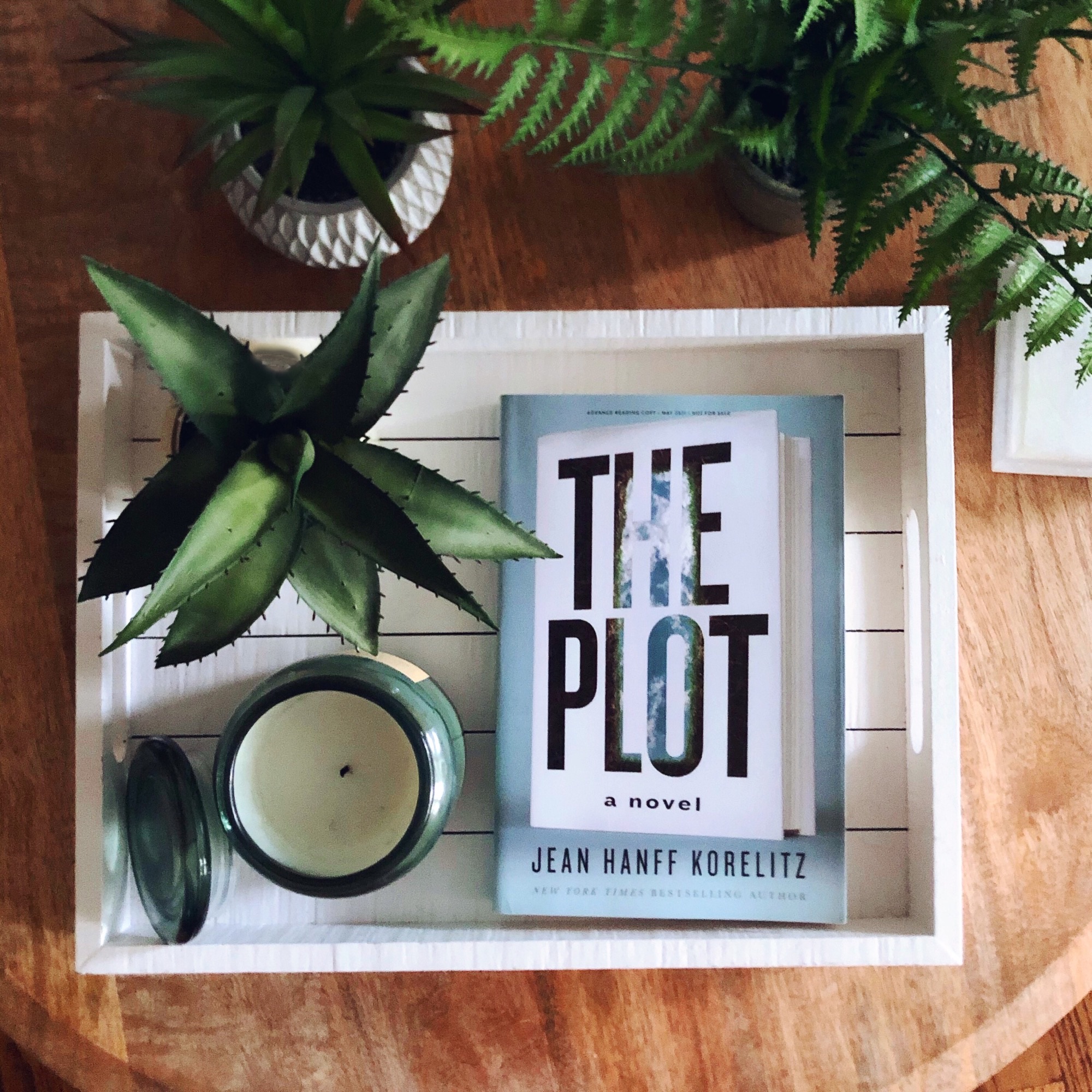 BOOK REVIEW: The Plot by Jean Hanff Korelitz @jeanhanffkoreli @celadonbooks #theplot #bookreview ...