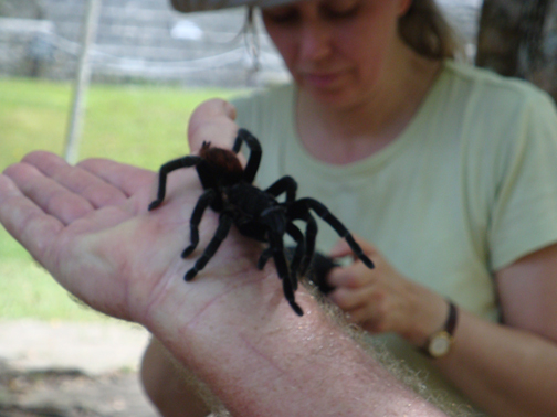 Phyllisrapp's Weblog | The Blog of the log of Antares