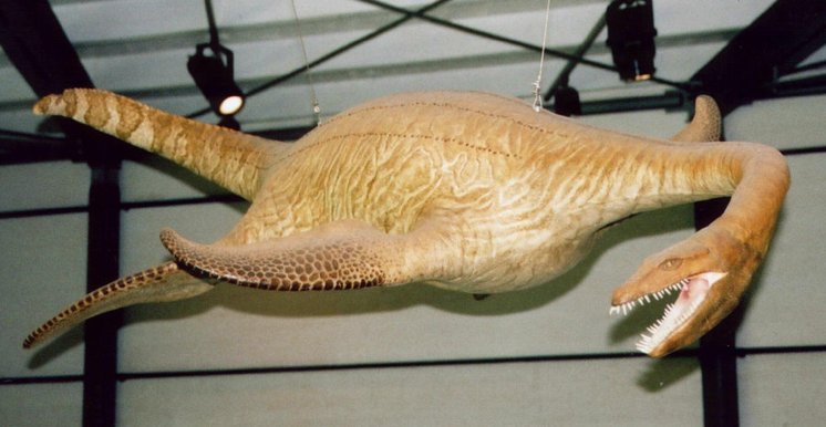 Life restorations – Plesiosaur Directory